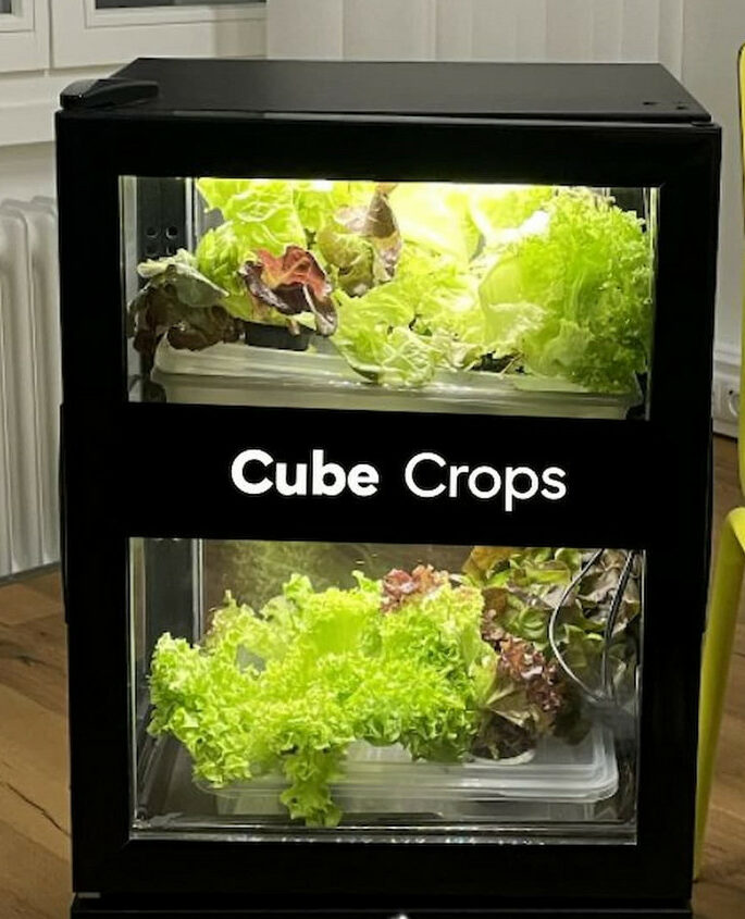 CubeCrops: From start-up camp to award-winning vegetable cultivation ...